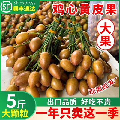 顺丰冷链广东鸡心黄皮果酸甜黄弹