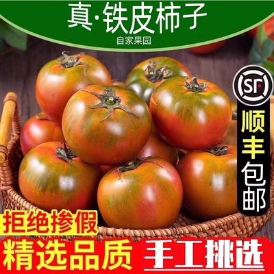 铁皮柿子丹东自然成熟草莓西红柿水果酸甜自家种生吃现摘蔬菜顺丰