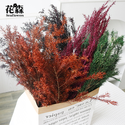 花森永生花千层金diy手工