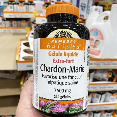 现货Holista高浓度水飞蓟奶蓟胶囊 进口水飞蓟250mg240粒