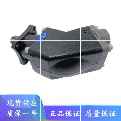 意大利OMFB HDT ISO 108DR臂车随车吊柱塞泵XPI80/XPI50