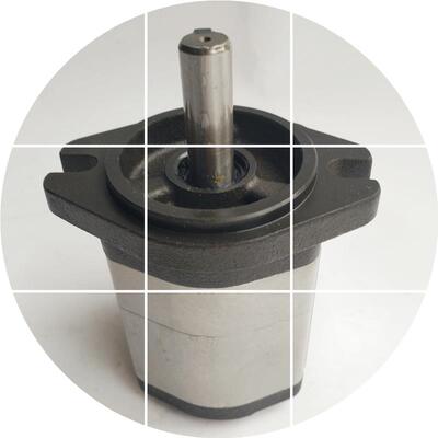 现货台湾峰昌-油泵EG-PS-1/2PS3/4/R/6/8-5-L EGWINMOSTPS-7R EG-