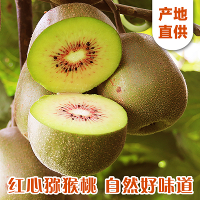 贵州特产水城新鲜包邮红心猕猴桃