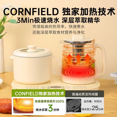 安杞养生壶2025新款炖煮一体家用多功能电热煮茶壶器恒温双炉煮饭