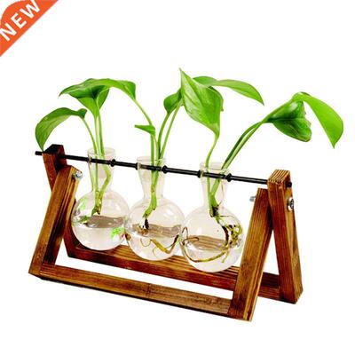 Terrarium Creative Hydroponic Plant Transparent Vase Wooden