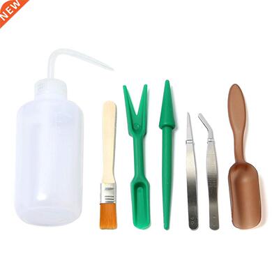 Roll over ie to zoom in 7pcs Succulent Transplanting Miniatu