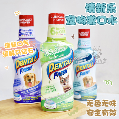 清新乐犬猫除口臭洁齿水