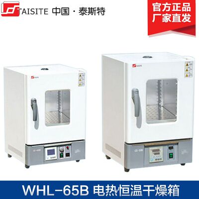 天津泰斯特 WHL-65B/WHL-125B 电热恒温干燥箱