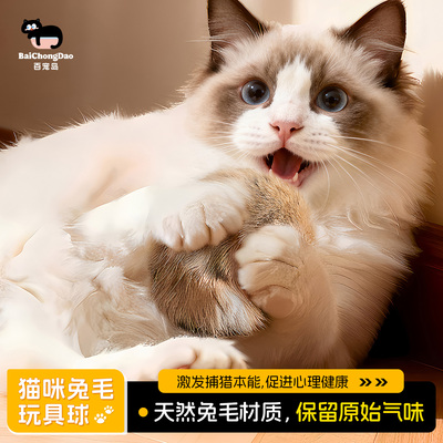 百宠岛天然兔毛材质猫咪玩具