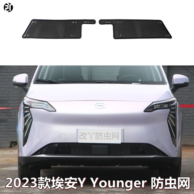 埃安Y汽车防虫网保护水箱