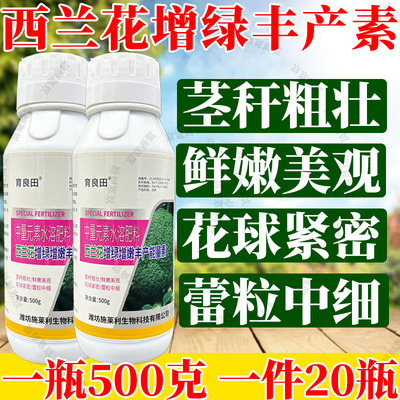 西兰花增绿增嫩丰产素生根壮苗花球紧密快速膨大增重专用促长增产
