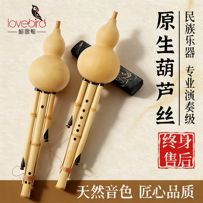 相思鸟葫芦丝C调儿童小学生专用