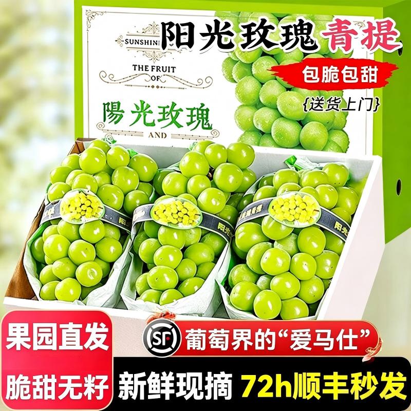 阳光玫瑰葡萄新鲜水果晴王葡萄无籽香印提子青提当季整箱顺丰包邮
