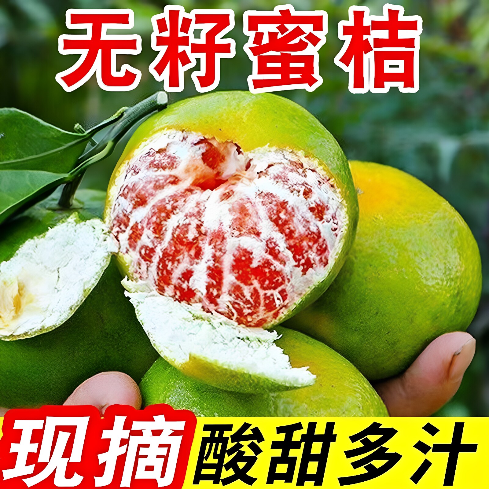 云南蜜橘桔子9斤早熟无籽新鲜橘子孕妇水果整箱包邮当季青皮柑橘