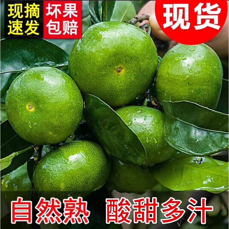 云南蜜橘桔子9斤早熟无籽新鲜橘子孕妇水果整箱包邮当季青皮柑橘