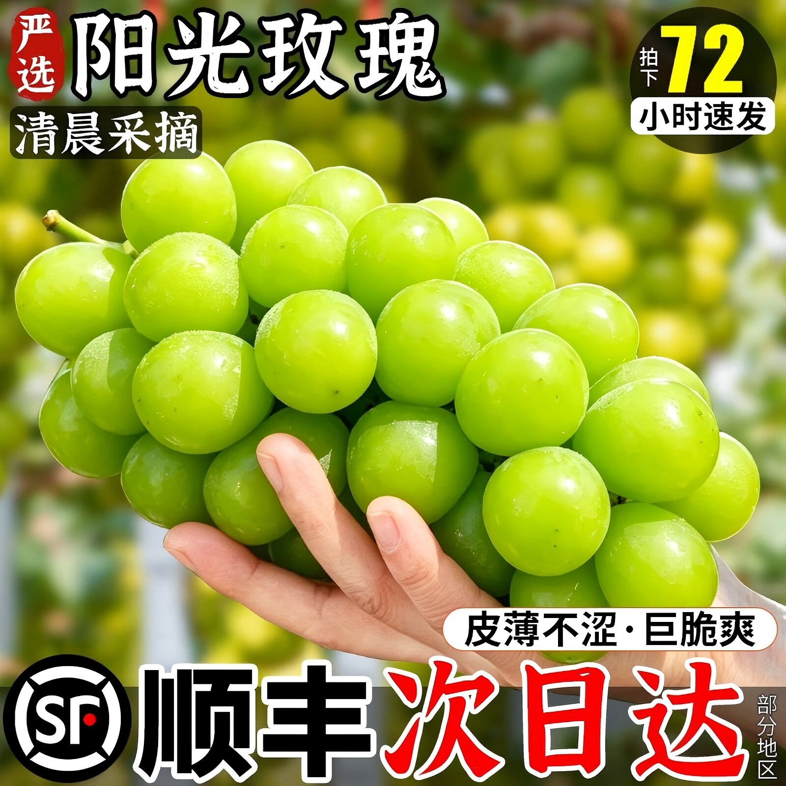 阳光玫瑰葡萄新鲜水果晴王葡萄无籽香印提子青提当季整箱顺丰包邮