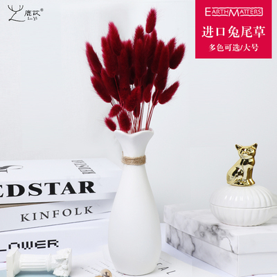 日本大地农园进口大号兔尾草