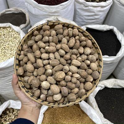 肉蔻云南采云堂当季采收颗粒饱满