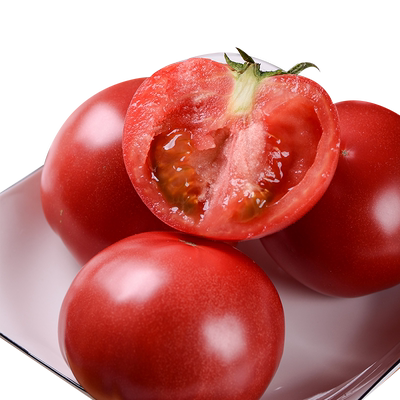 普罗旺斯西红柿新鲜自然10草莓