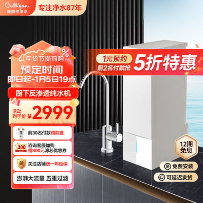 康丽根美国Culligan水麒麟P16W厨下反渗透净水器直饮机家用净水机