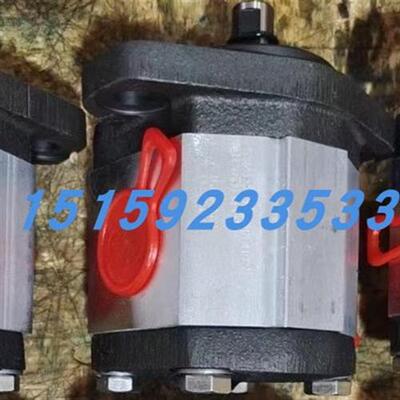 议价马祖奇ALM2BK2R-6E1 ALM2BK2R-9E1 ALM2BK2R-10E1泵ALM2BK2R-