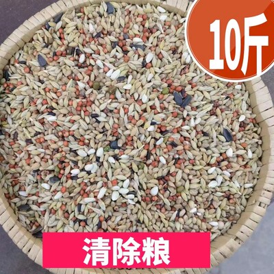 2025新粮10斤清除饲料幼鸽观赏鸽斑鸠等换毛期专用营养粮