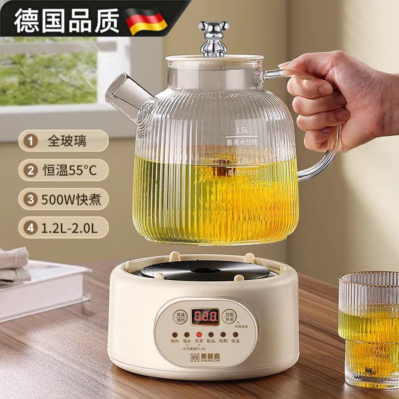 德国EINFACE全玻璃养生壶炖煮一体家用煮茶壶办公室烧水壶煮茶器