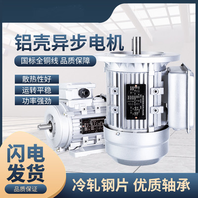 YY6324/7114/7124/0.18/0.25/0.37KW单相铝壳变频电动机220V