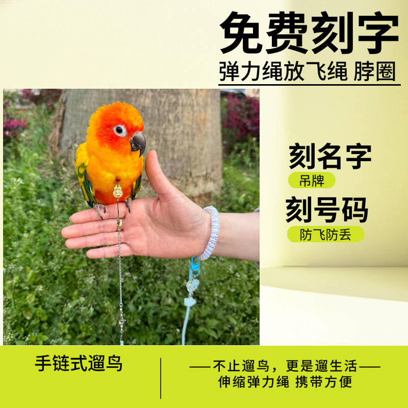 鹦鹉脖套不锈钢玄凤牡丹虎皮小太阳和尚遛鸟放飞脖圈链子绳子刻字