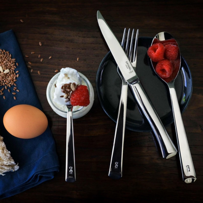 法国OPINELPerpetue西餐刀不锈钢