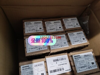 5SL5210-6CC/小型断路器 250V DC DC 1