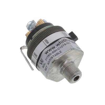 P119G-50H-C12TS-DIS  Whitman Controls, LLC