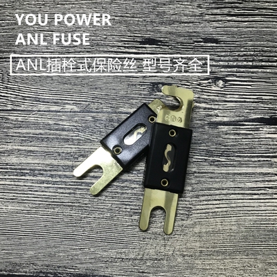 ANL 大号插栓式 保险丝 FUSE 30A50A60A80A100A120A150A180A200A