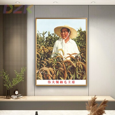 毛主席像画像毛爷爷在河南农村视察墙画中堂客厅壁挂玄关装饰挂y1