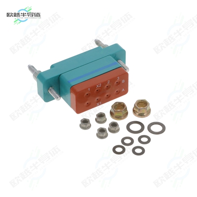 RSE116700[继电器LOW PROFILE 2 POLE/10 AMP LC]