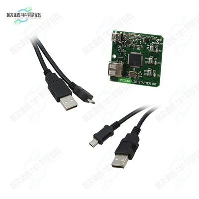 DM240012[开发板PIC24E USB STARTER KIT P512GU810】