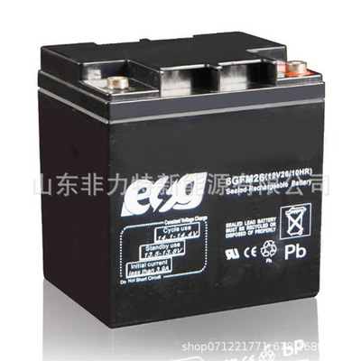 ESG蓄电池6GFM3312VAH/1