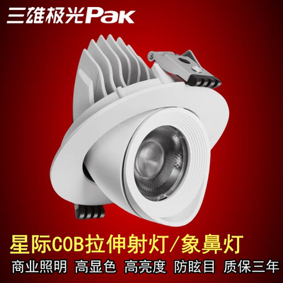 三雄极光商业服装店COB象鼻灯