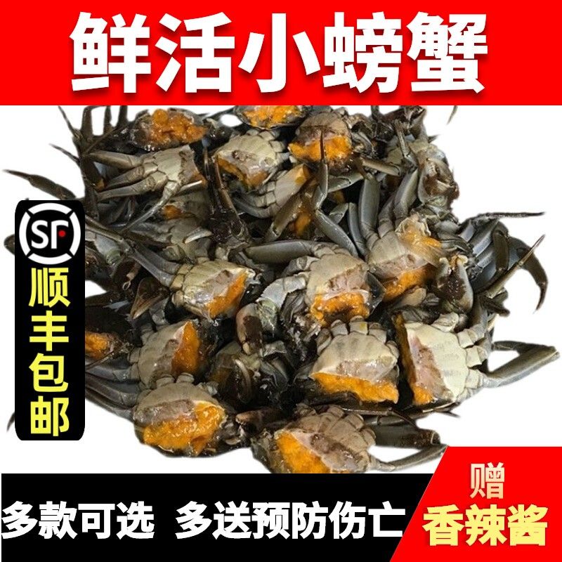 鲜活大闸蟹六月黄螃蟹香辣蟹河蟹产地直发活蟹1两2两产地直发