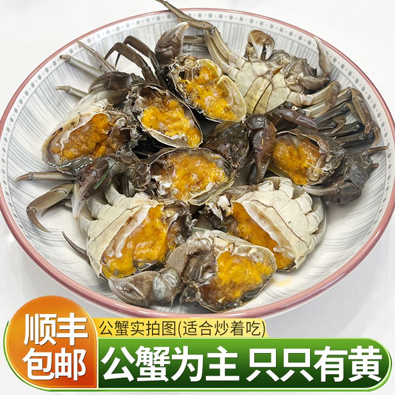 活蟹产地直发鲜活大闸蟹螃蟹河蟹六月黄大闸蟹1.3-1.6两/只8只10