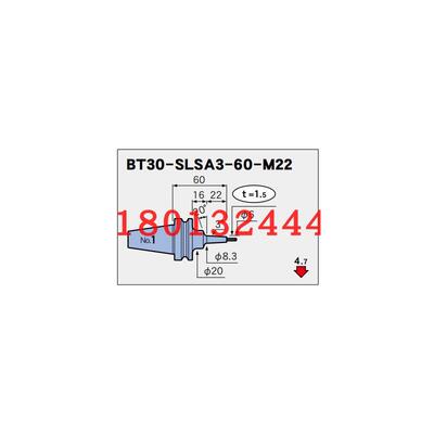 BT30-SLSA6M22日本恩司
