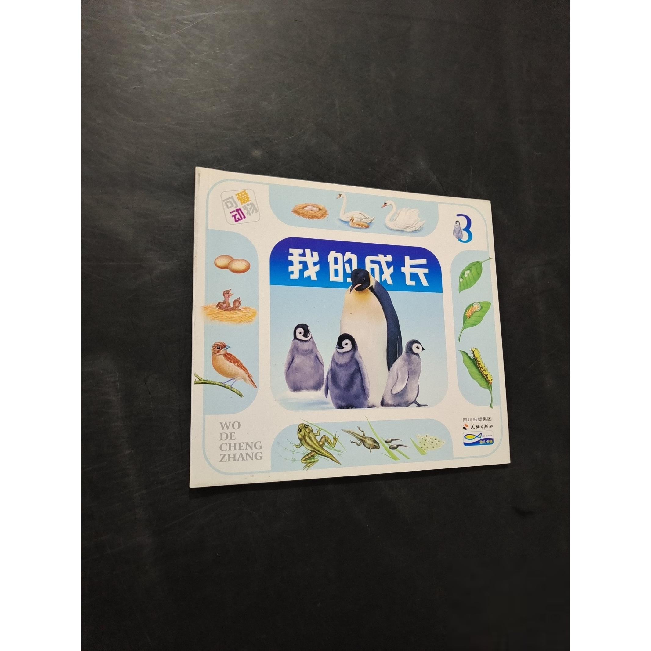 【正版旧书 7-9成新】可爱动物我的成长鱼儿卡 编出版社2008-00-00轻工业/手工业