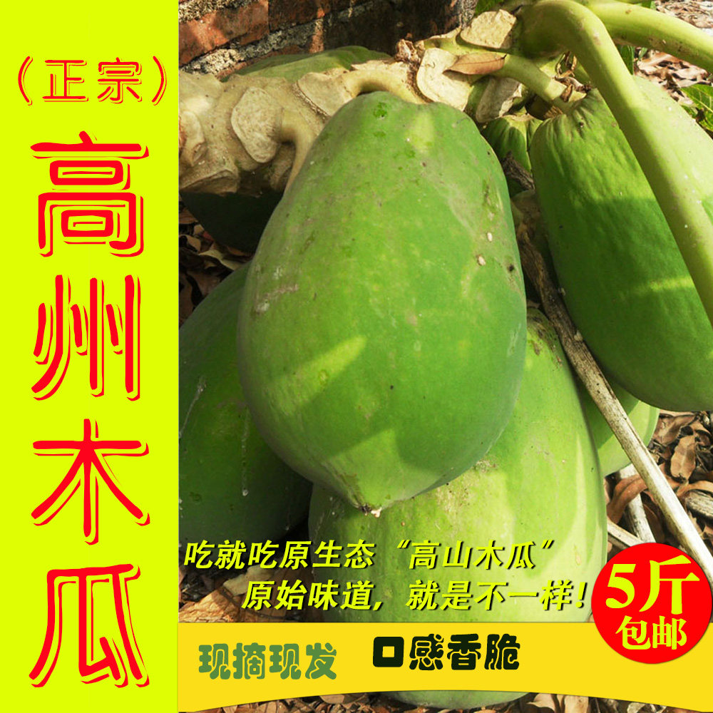 5斤正宗高州本地新鲜生熟木瓜高山绿色原生态野生青木瓜包邮