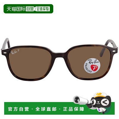 自营ray-banRay Ban Leonard Polarized Brown Square Unisex Sun