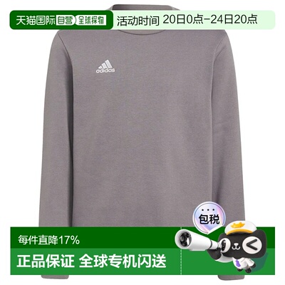 欧洲直邮ADIDAS Entrada 22 Stadium SW运动卫衣