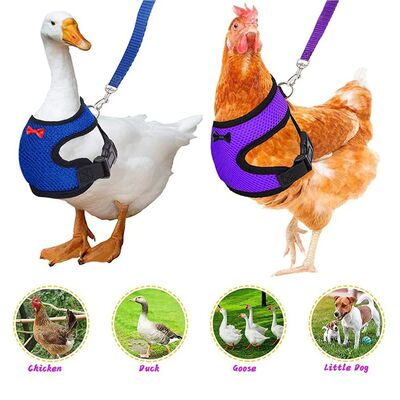 Adjustable Duck Chicken Harness Leash Comfortable And Breath