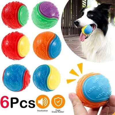6Pcs Squeaky Balls Toys Dogs Interactive Toys TPR Dog Chew T