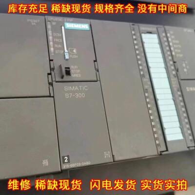 S7-300 CPU313C PLC控制器 可充新仅测试议价维修