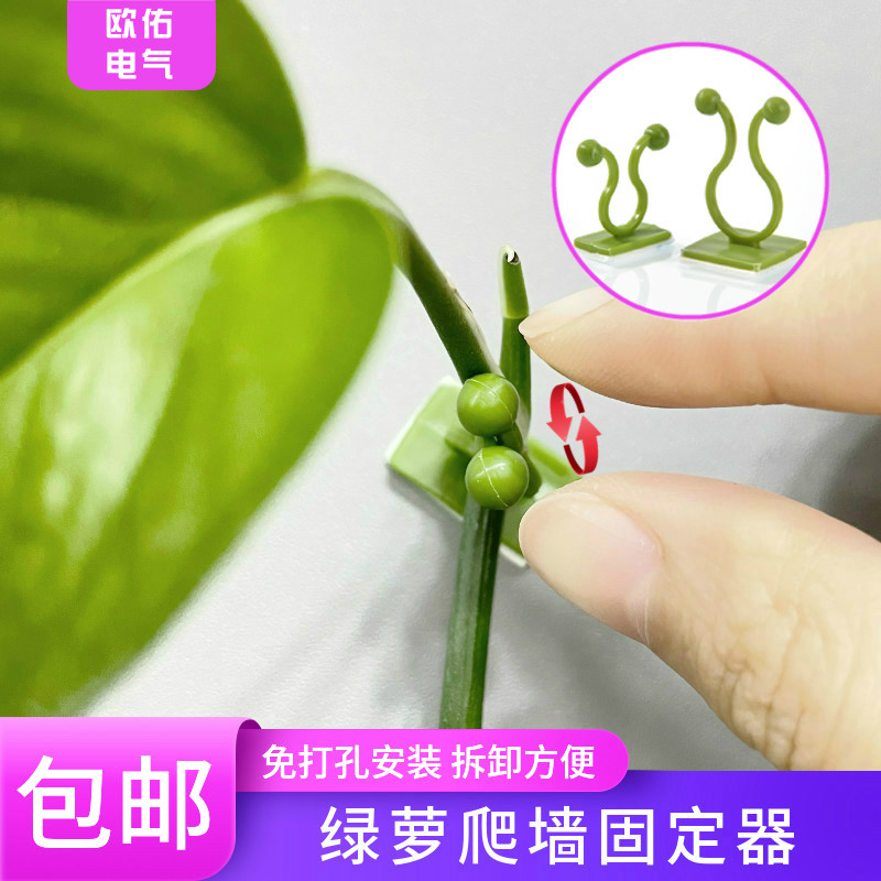 绿萝爬墙固定器缠绕家用卡扣室内客厅爬藤神器绿植藤蔓上墙面吸盘