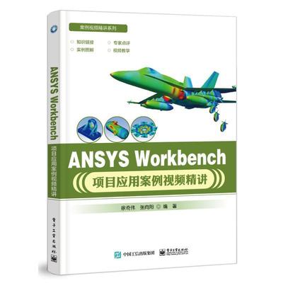 正版 ANSYS Workbench项目应用案例视频精讲 徐奇伟 ansys软件完全自学一本通cad cam cae creo工程实例热流体力学仿真计算